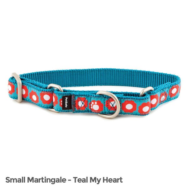 PetSafe Fido Finery Martingale Style Collar (3/4 Small, Teal My Heart) PetSafe Fido Finery Martingale Style Collar (3/4 Small, Teal My Heart)